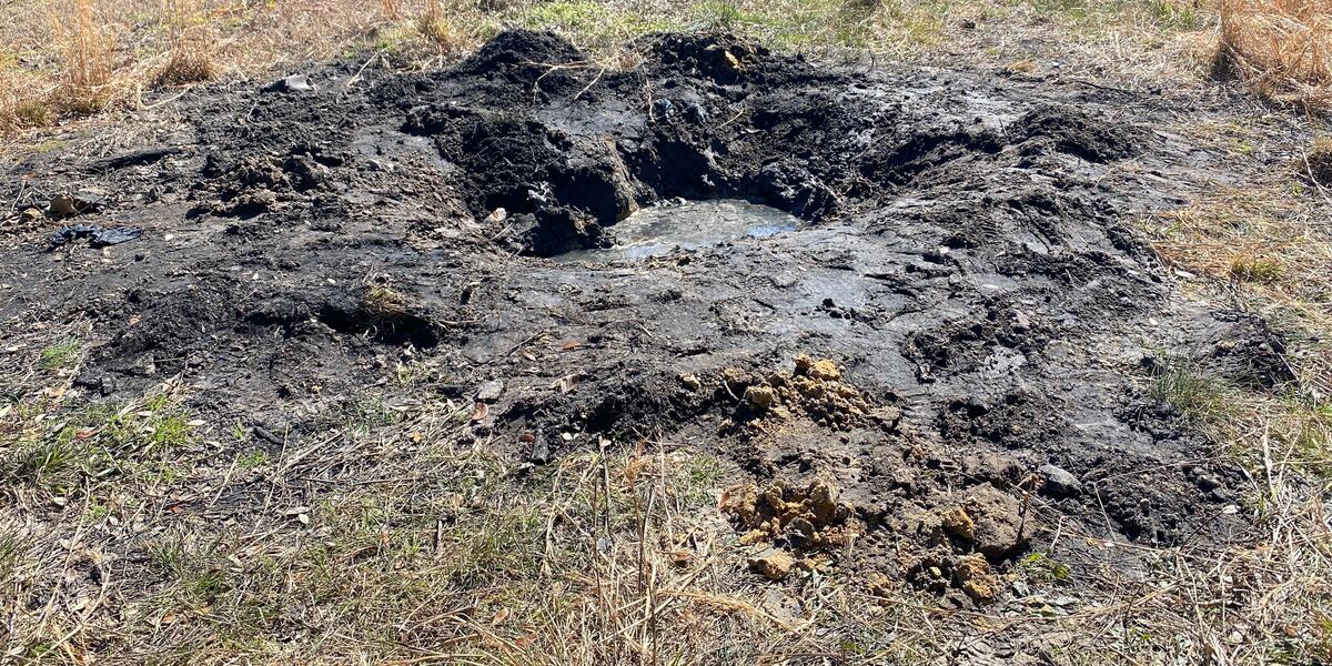 Coroner identifies victims in double homicide after skeletal remains ... Coroner identifies victims in double homicide after skeletal remains ...