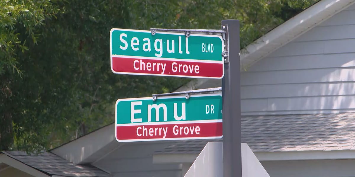North Myrtle Beach police investigating weekend swatting incident North Myrtle Beach police investigating weekend swatting incident