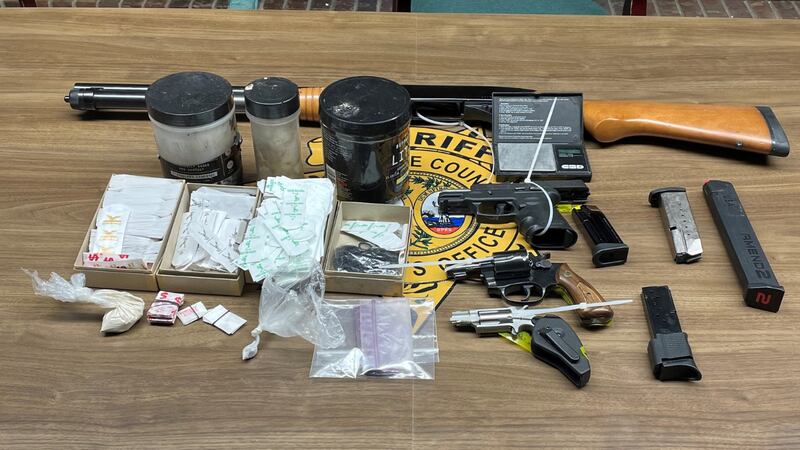 Months-long investigation leads to major drug bust in Johnsonville Months-long investigation leads to major drug bust in Johnsonville